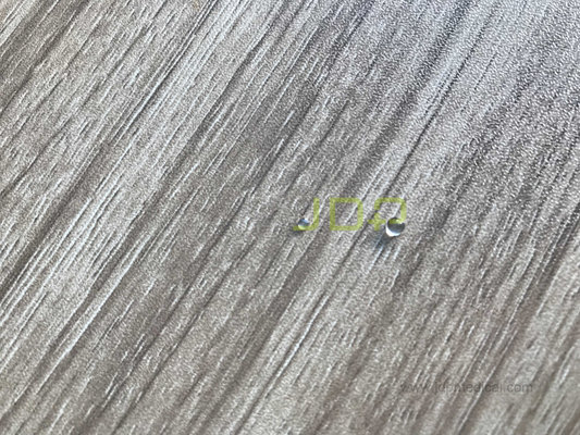 Light guide lens for Olympus GIF-H260