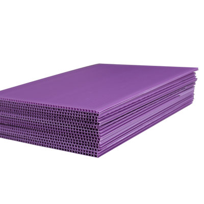 Lightweight /Best Price PP Corrugated Plastic Sheet/Corflute Sheets Sydney