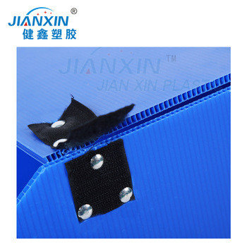 Custom Made High Quality Blue PP Plastic Corrugated Sheet /Coroplast Box