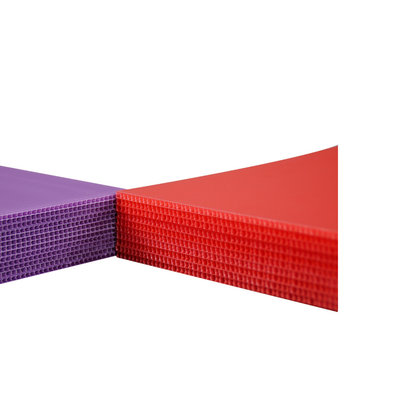 Corrugated Polypropylene Sheet / PP Sunpack Sheet / Sunpack Board