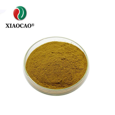 Wholesale high quality pure Shilajeet extract Powder 100% natural from China supplier
