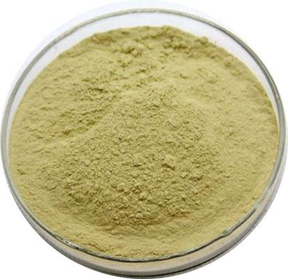 100% natural Scutellaria baicalensis extract light yellow root extract powder free sample supplier