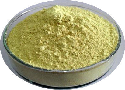 100% natural Scutellaria baicalensis extract light yellow root extract powder free sample supplier