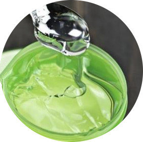 ISO Factory best organic Aloe vera extract powder Aloe emodin and Lyophilized powder 200:1 supplier