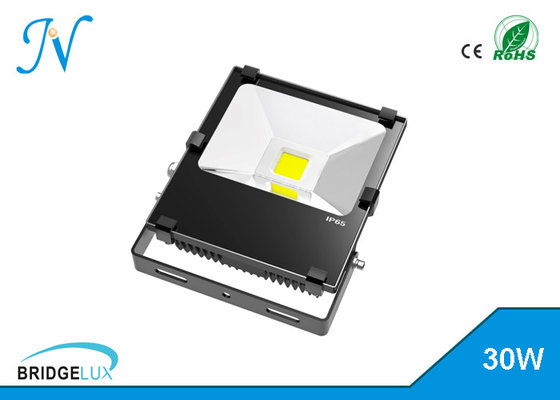 Small Long Lasting Dimmable Led Flood Lights , Multi Color Led Flood Light 30 Watt