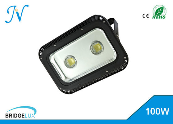 Brightest Landscape Led Flood Lights Outdoor High Power 100w Led Floodlight