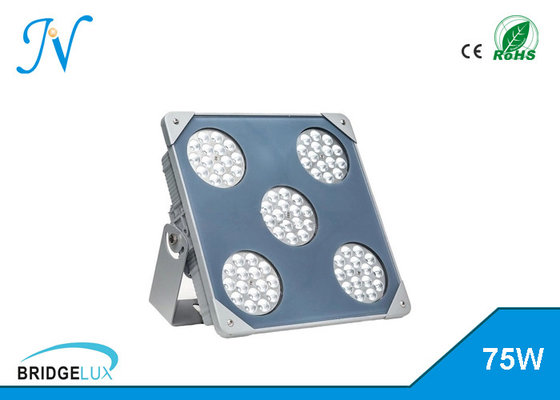 High Output Decorative Outdoor Colored Led Flood Lights White Led Floodlight 75W