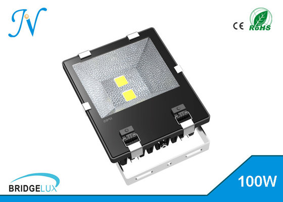 High Output RGB 100w Led Flood Light Dimmable For Decorative Lighting