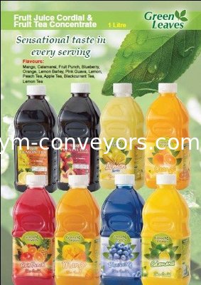 automatic double sides label machine