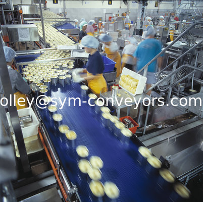 Belt curved conveyor