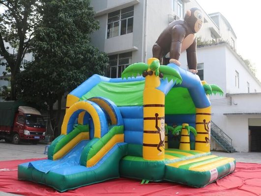 Outdoor Inflatable Commercial Bouncy Castles With Slider From China