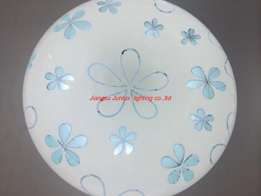 Led Ceiling 24w With Flower PC Cvover Proof Light Indoor Lamp New Item Light Engineering Decorative  Affordable Valuable