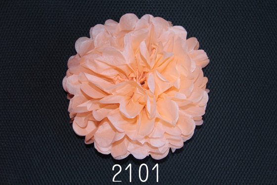 paper folower supplier