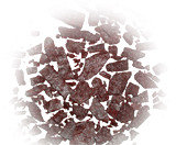 China Antioxidant A supplier