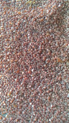 antioxidant TMQ supplier