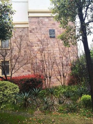 Red pink brow combinated sandstone mushroom stone wall cladding decoration 30x15cm mushroomed stone wall cadding tiles