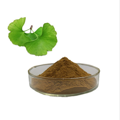 100% Natural Ginkgo Biloba Extract USP Grade Ginkgo Biloba Powder