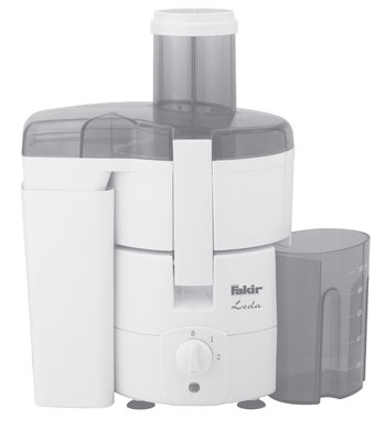 600w KP60PA Power Juicer supplier