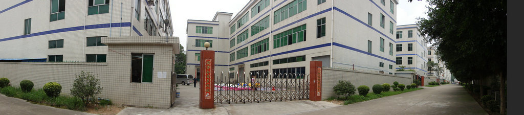 China best Bumper Ball on sales
