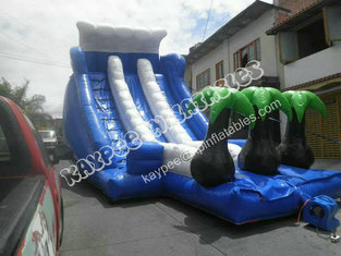 China Hot Sell Inflatable palm tree slide ,Inflatable water slide,inflatable wet dry slide supplier