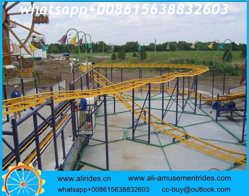Wacky Worm/Caterpillar Slide Amusement Park Rides dragon coaster for sale