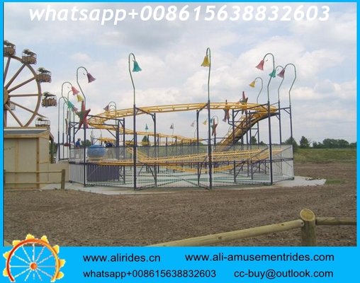 Wacky Worm/Caterpillar Slide Amusement Park Rides dragon coaster for sale