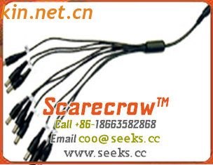 China Scarecrow™ DC1FS8M DC Splitter 1 Female (Plugs) to 8 Male (Jack) supplier