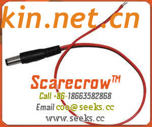 Scarecrow™ DCCORD-M DC Male Pigtail Cable supplier