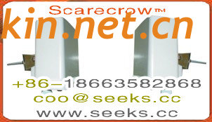 Wireless Bridge 5.8G frequency, 150 MB bandwidth, gain 23DBM, wireless distance 8 supplier