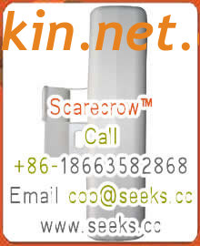 Wireless Bridge 5.8G frequency, 150 MB bandwidth, gain 23DBM, wireless distance 8 supplier
