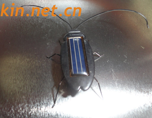 Solar roach toys, Solar Cockroach toys, Solar Toys, Minimum Quantity More than 10 pcs supplier