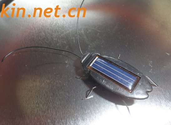 Solar roach toys, Solar Cockroach toys, Solar Toys, Minimum Quantity More than 10 pcs supplier