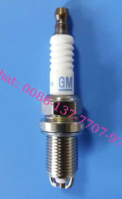 China Auto spark plug  GM   1214117 spark plug  made in Korea factory
