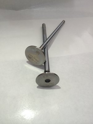 diesel engine  CAT C9 exhaust valve 241-8383 2418383