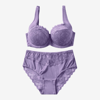 High Quality Comfortable Women's Bra And Panty Set Lace Underwear And Bra Sets D Cup