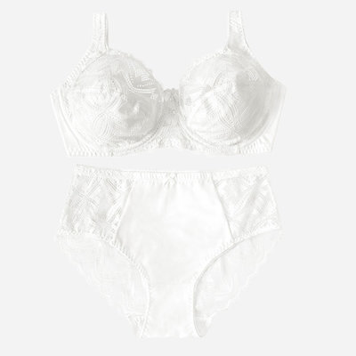 Sexy Lace Ladies Panty And Bra Sets Plus Size Thin Breathable Woman Underwear