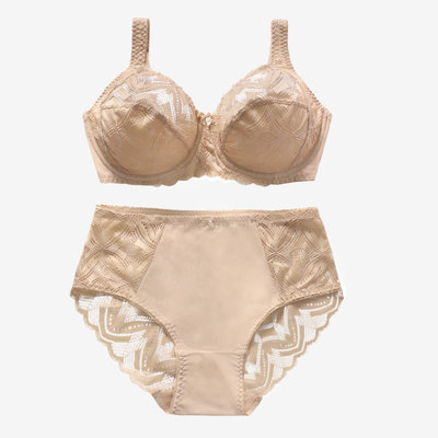 Sexy Lace Ladies Panty And Bra Sets Plus Size Thin Breathable Woman Underwear