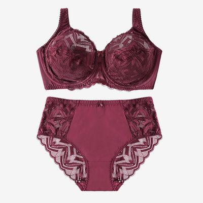 Sexy Lace Ladies Panty And Bra Sets Plus Size Thin Breathable Woman Underwear