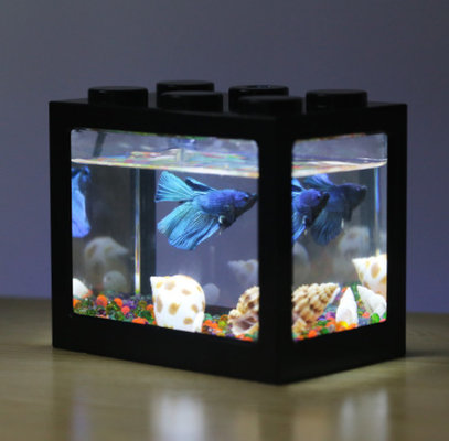 Wholesale Acrylic Small Plastic Fish Tank Acrylic Plastic Table Fish Farming Tank Aquarium