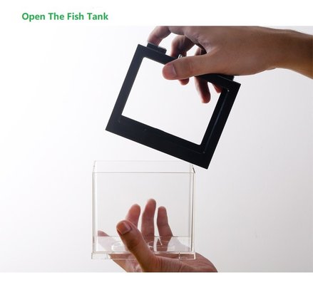Small Fancy Tropical Mini Fish tank with led lighting at night supplier