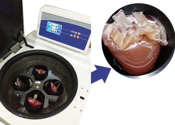 18PCS blood bags Floor Standing Centrifuge BW12R With Pre Cooling Function