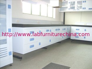 China Ploypropylene Laboratory Corrosive Storage Cabinet Customized for Storing Anti-acid & Anti supplier