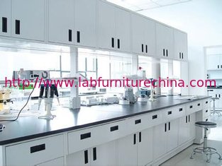 China The Netherlands trespa laboratory wall bench furniture equipment supplier supplier