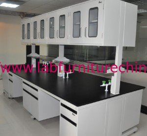 Lab Casework Solutions|Lab Casework Solutions china|Lab Casework Solutions usa| supplier