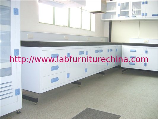 Ploypropylene Laboratory Corrosive Storage Cabinet Customized for Storing Anti-acid & Anti supplier