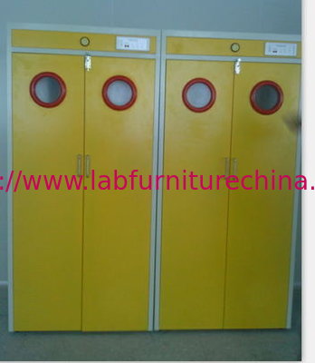Lab Gas cylinder Storage cabinet,Gas cylinder cabinet supplier,Gas cylinder cabinet manufacture supplier