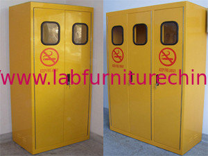 Lab Gas cylinder Storage cabinet,Gas cylinder cabinet supplier,Gas cylinder cabinet manufacture supplier