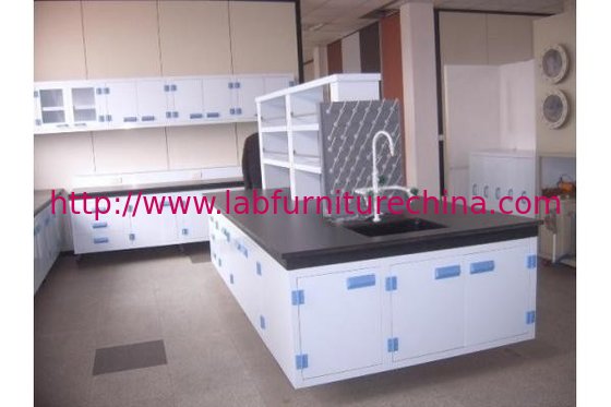 China full polypropylene Lab  table Furniture Manufacturer From succezz supplier