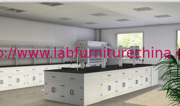 pp lab lab workbench |pp lab workbench manufacturer|pp lab workbench llc| supplier