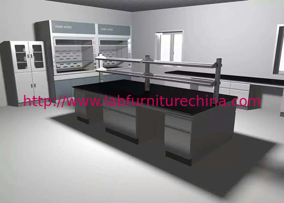 College School Lab Becnh Furniture with Reagent Rack supplier